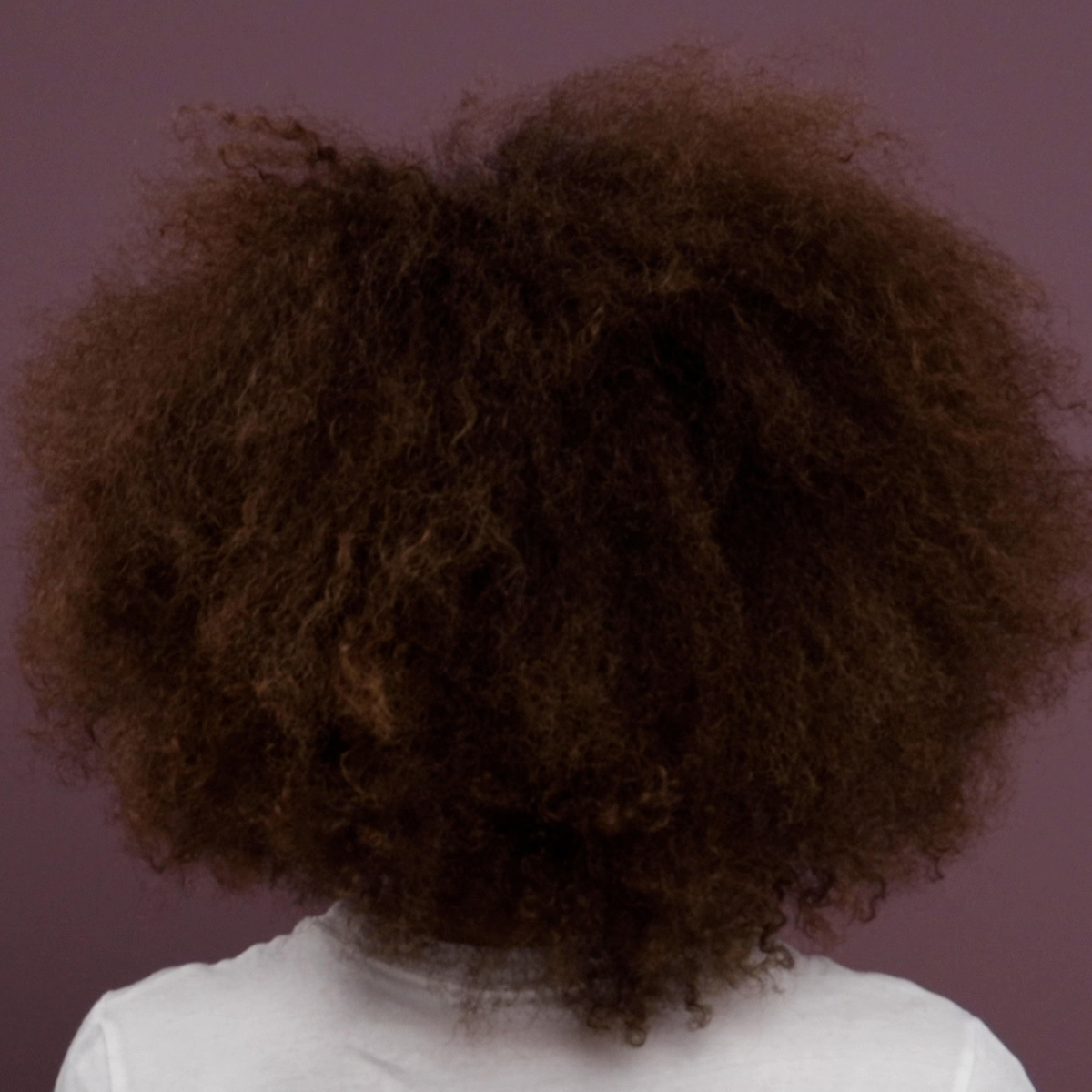 Easy Lisse Discipline Treatment | Alfaparf Milano Professional